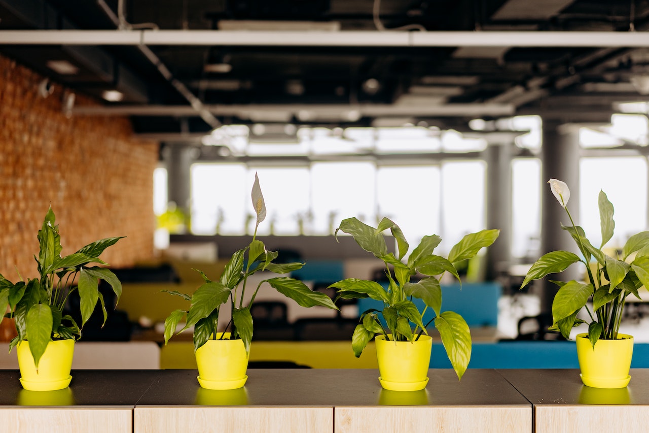 Importance of Interior Design in Workspace! - Storeyboard Design